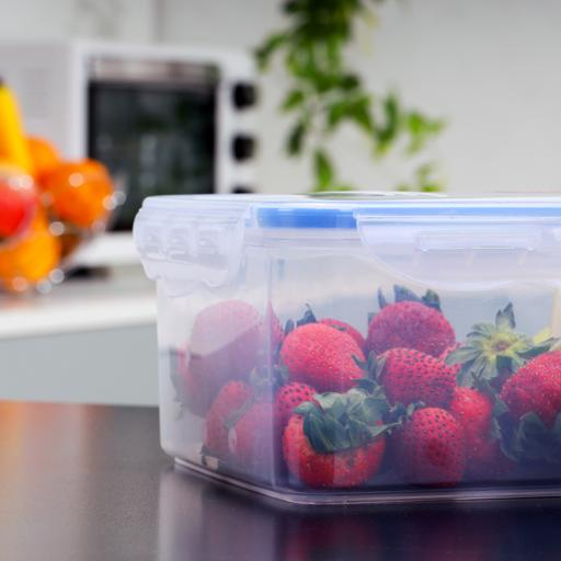 Buy Royalford Airproof Box, 800 Ml Online in UAE - Wigme